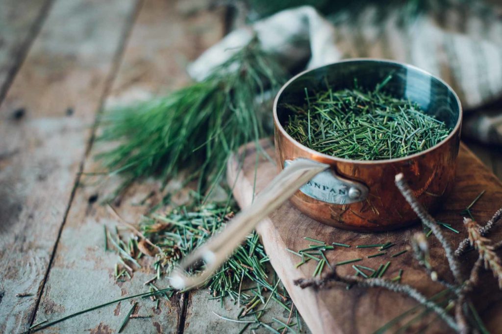 Pine Needle Syrup and a Pine Syrup Gimlet | Chew Town Food Blog