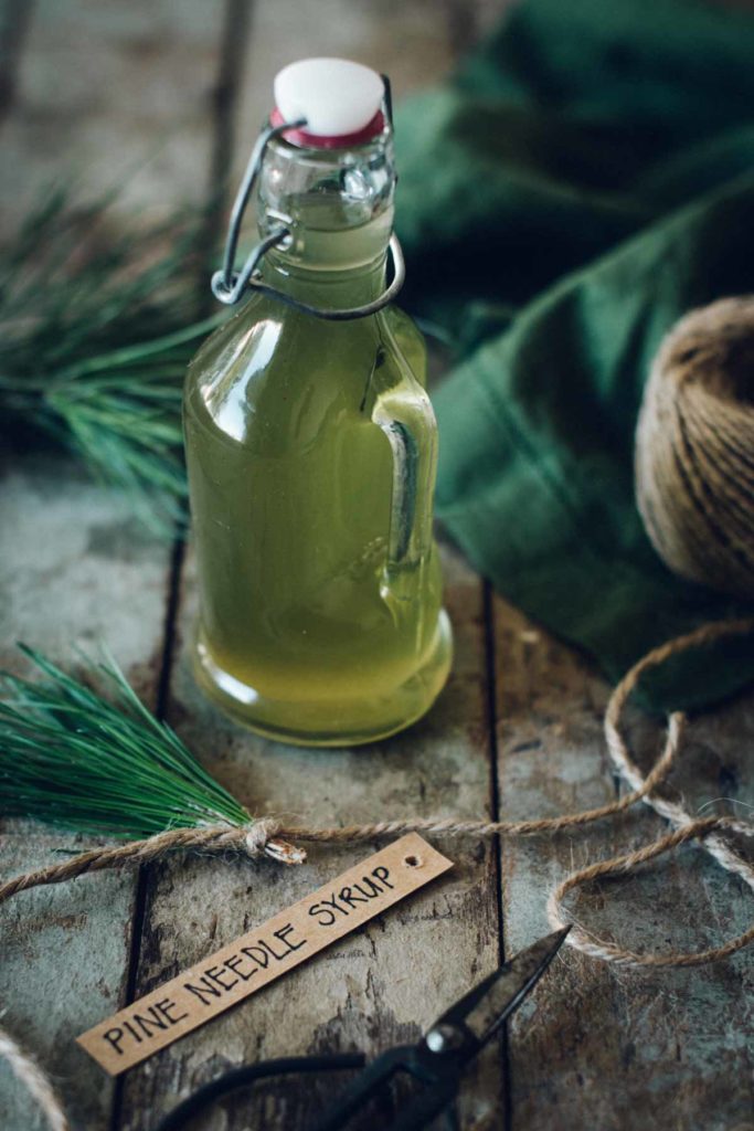 Pine Needle Syrup and a Pine Syrup Gimlet | Chew Town Food Blog