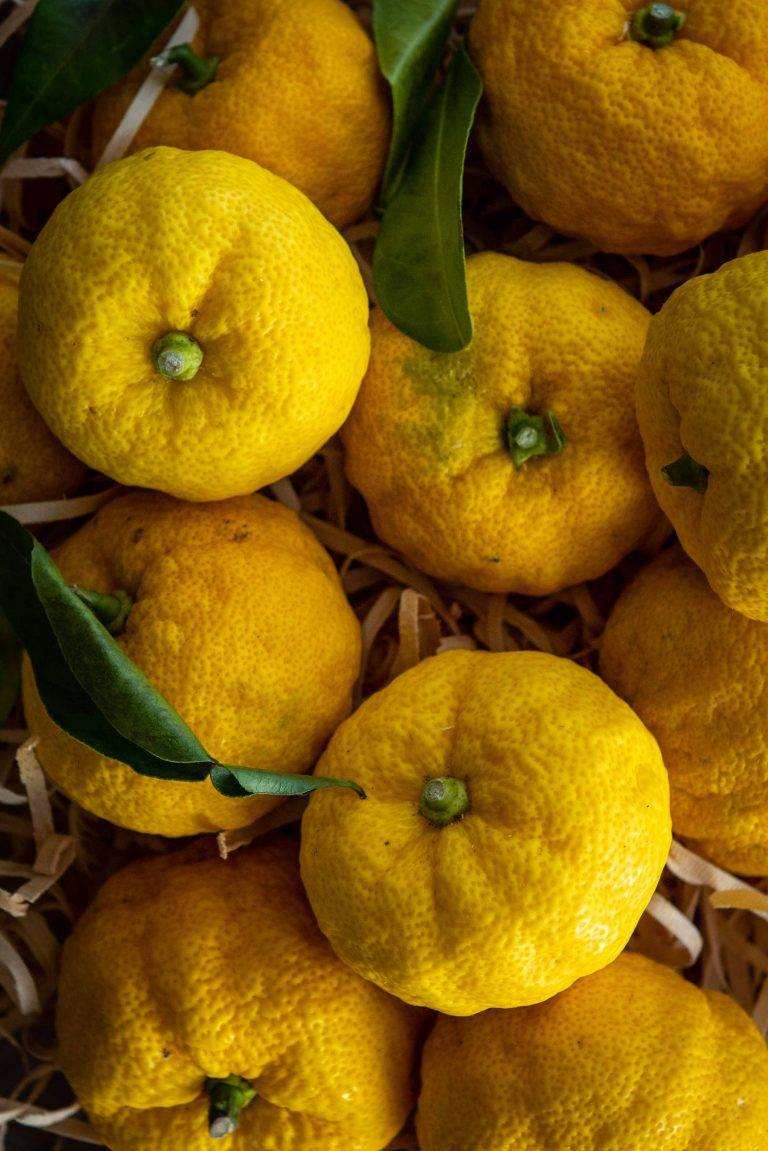 Yuzu Curd | Candied Yuzu Peel | Dried Yuzu | Chew Town Food Blog